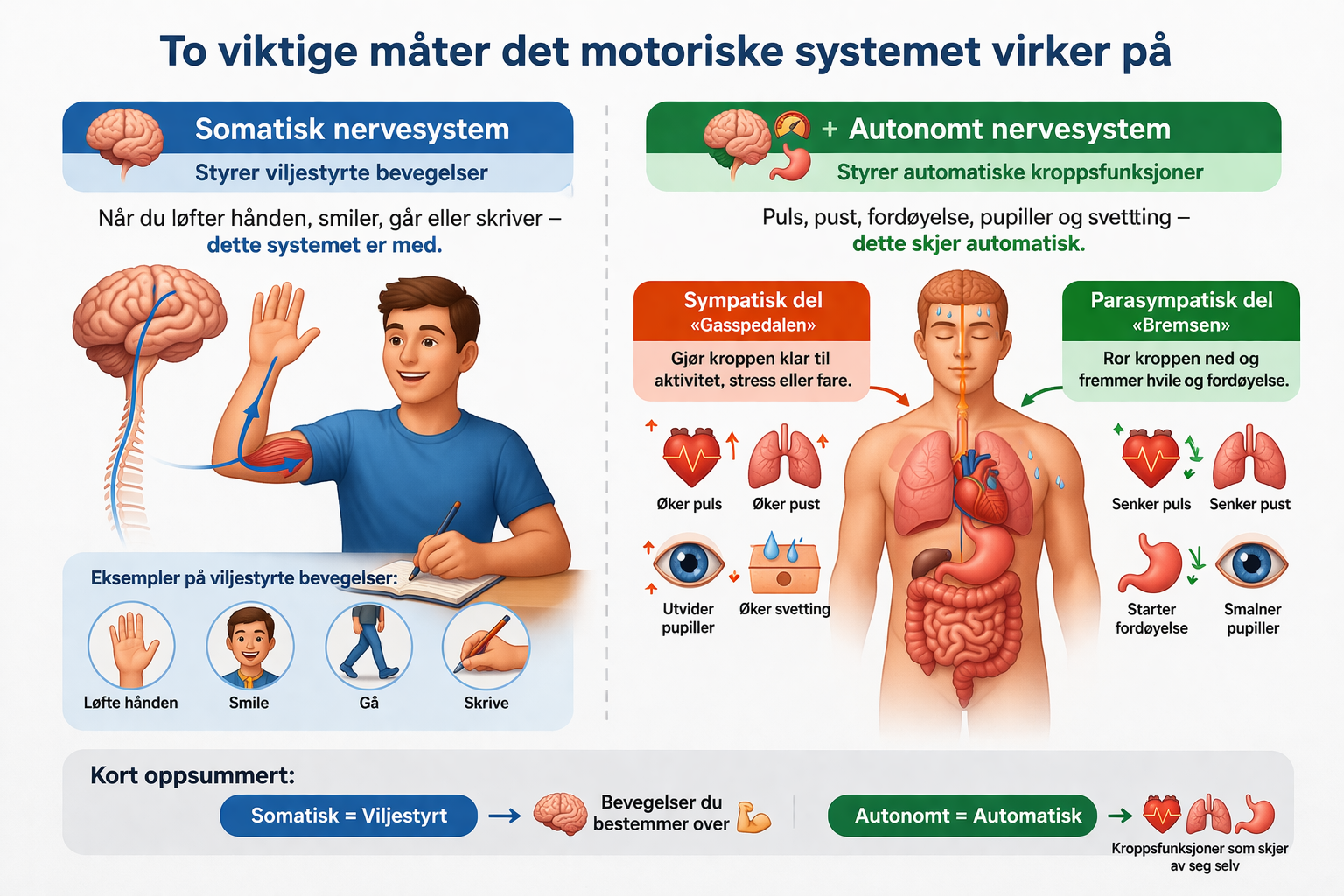 Del 2